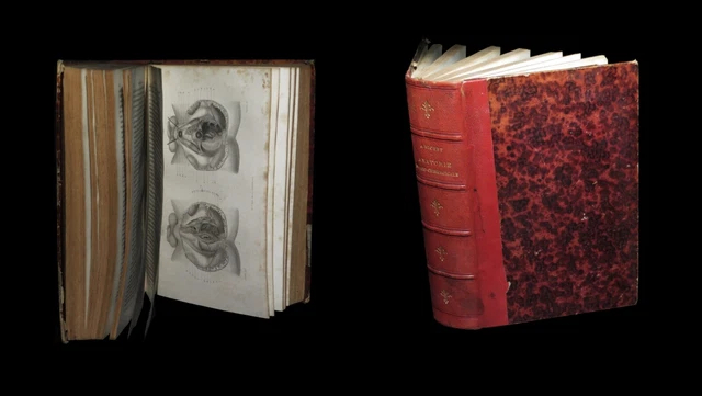 [MEDECINE ANATOMIE CHIRURGIE] RICHET - Traité d'anatomie médico ...