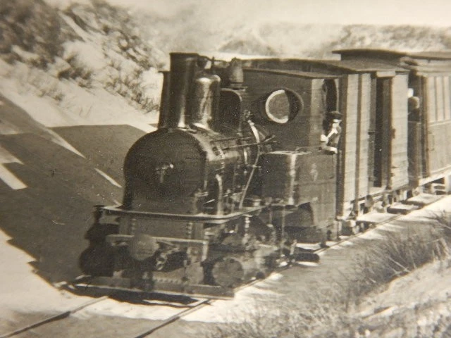 ORIG. FOTO-AK KLEINBAHN Inselbahn Eisenbahn Amrum Feldbahn Zug Lok ...