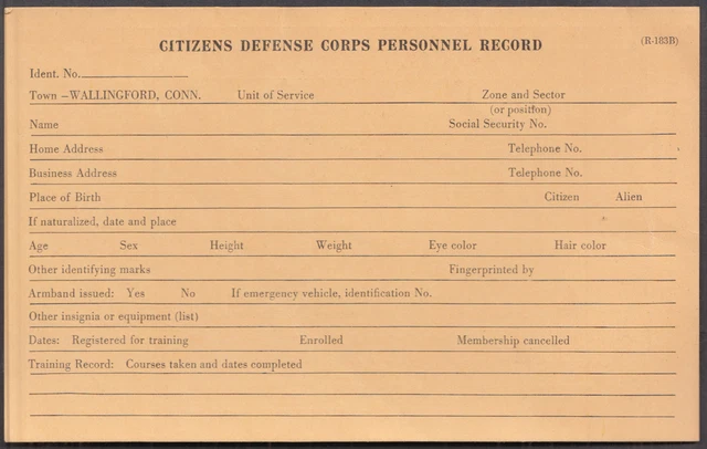 Home Front, World War II (1939-1945), Militaria, Collectables - PicClick UK