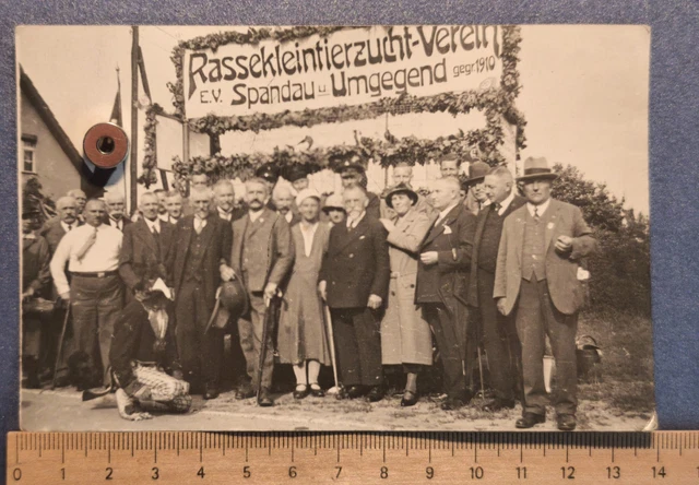 FOTO IN PK Größe: "Rassekleintierzucht-Verein", Spandau,Berlin, 30-er ...