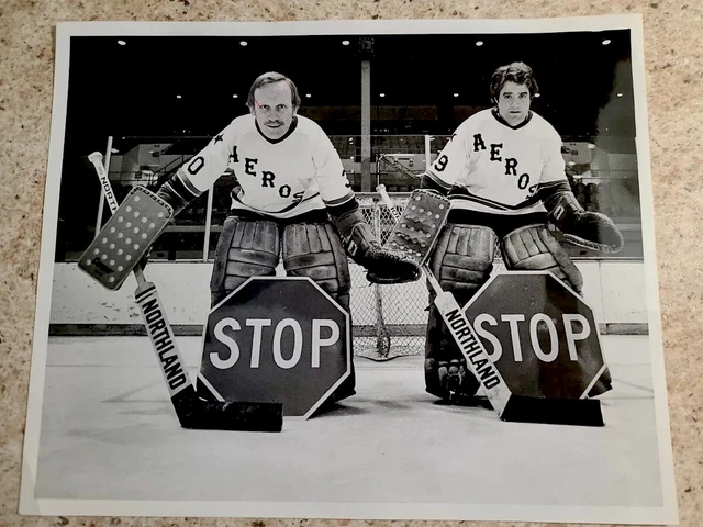 WHA HOUSTON AEROS Hockey Goalie Photo Texas 1974 Ron Grahame Wayne ...