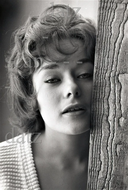 1950S NEGATIVE-SEXY PINUP girl Jane Larson-cheesecake t448625 £8.24 ...