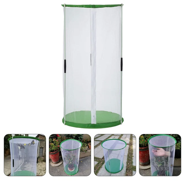 BUTTERFLIES HABITAT CAGE Visible Insect Cage Insect Observation Cage £ ...