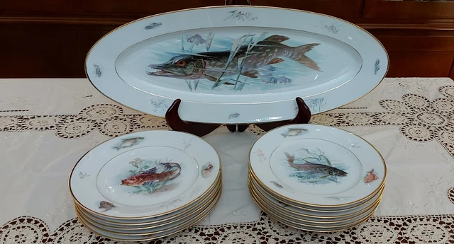 SERVIZIO PIATTI DA11 Da Tavola Porcellana Pesce Richard Ginori Pittoria ...