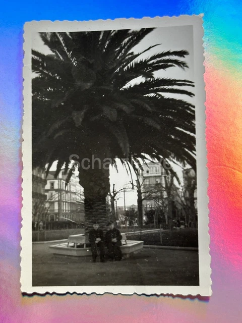 FOTO, 1937 KREUZER Karlsruhe, unter Palmen in El Ferrol (MJ-204) EUR 3 ...