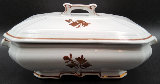 ANTIQUE ALFRED MEAKIN Royal Ironstone China Tea Leaf Covered Serving ...