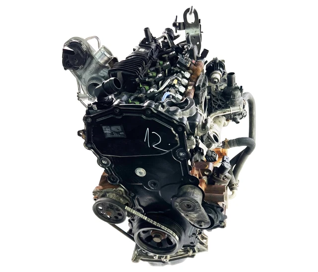 MOTORE PER FORD Transit V362 V363 2.0 EcoBlue Diesel YNF6 GK2Q-6006-JB 170 CV EUR 3.699,00 ...