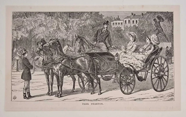 SIDNEY PARK PHAETON (1878 Horse Carriage Driving Print Engraving) EUR ...