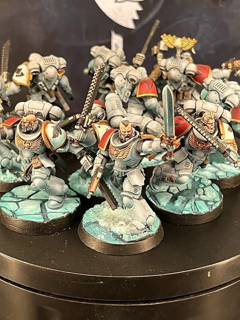 WARHAMMER 40K ARMY Space Marines Space Wolves Pro Painted Assault ...