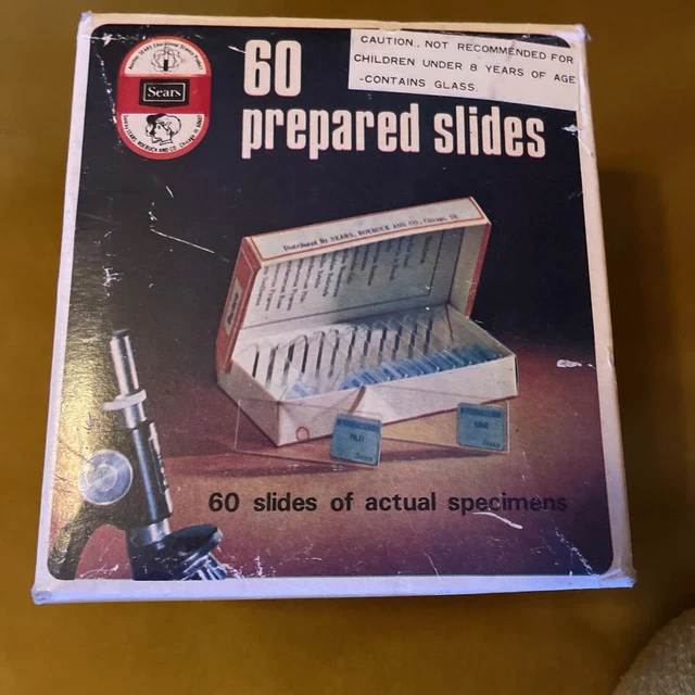 VINTAGE SEARS 60 Prepared Slides 49-24037 Labeled Educational Actual ...