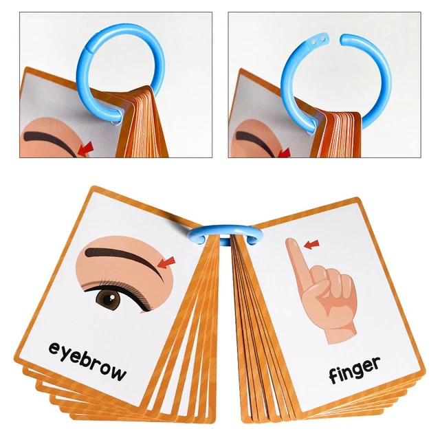 CARTES FLASH DES parties du corps Cartes de poche Jouets d ...