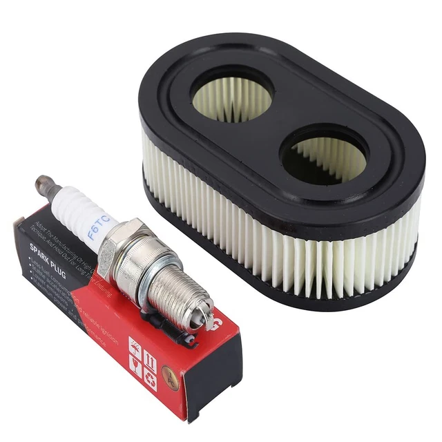 MORITALE FILTRE À Air Tondeuse Bougie pour Briggs & Stratton Viking Moteurs S... EUR 16,79 ...