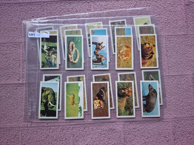 COMPLETE SET - Goodies Confectionery - Wild Life Gd/Vg £12.99 - PicClick UK