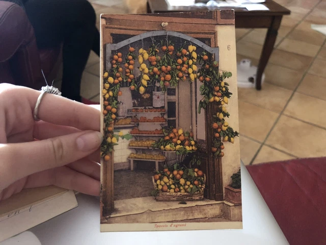 CARTE POSTALE ILLUSTRÉ Bottes Chelsea D’Agrumes Edit Brunner Non ...