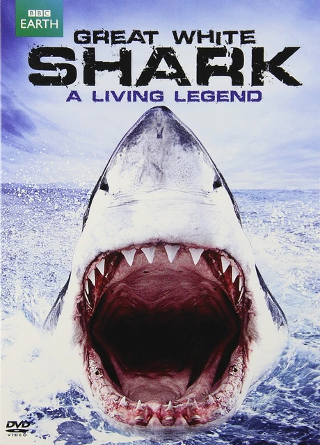 GREAT WHITE SHARK A Living Legend - Dvd Sized - Slip Cover Only ...