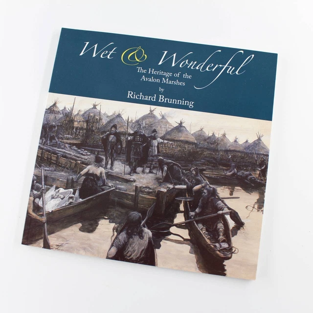 WET AND WONDERFUL The Heritage of the Avalon Marshes Richard Brunning £ ...