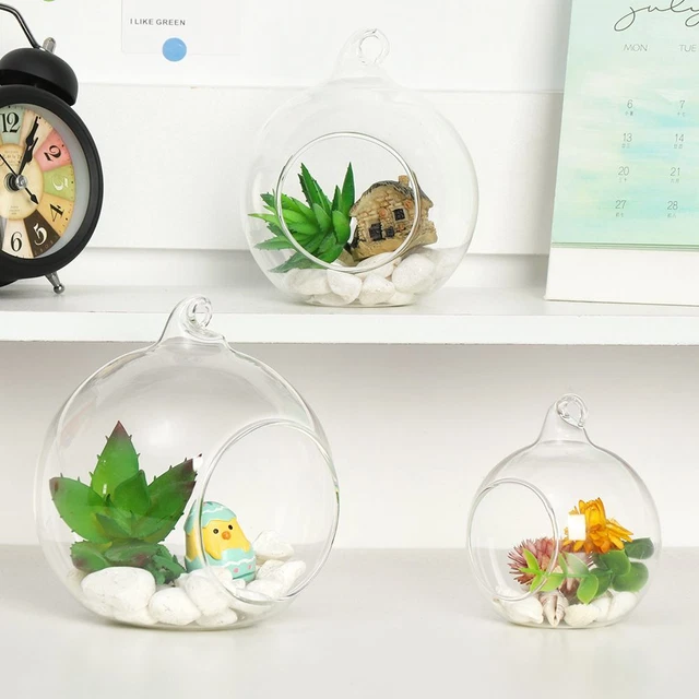 DECORATION BOTTLE CLEAR Glass Ball Fillable Bauble Microlandscape ...