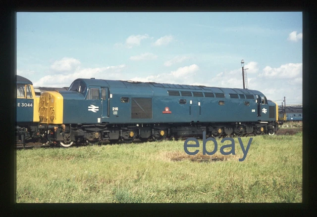 ORIGINAL 35MM slide - Class 40 - 216 (40016) 'Campania' stabled at ...