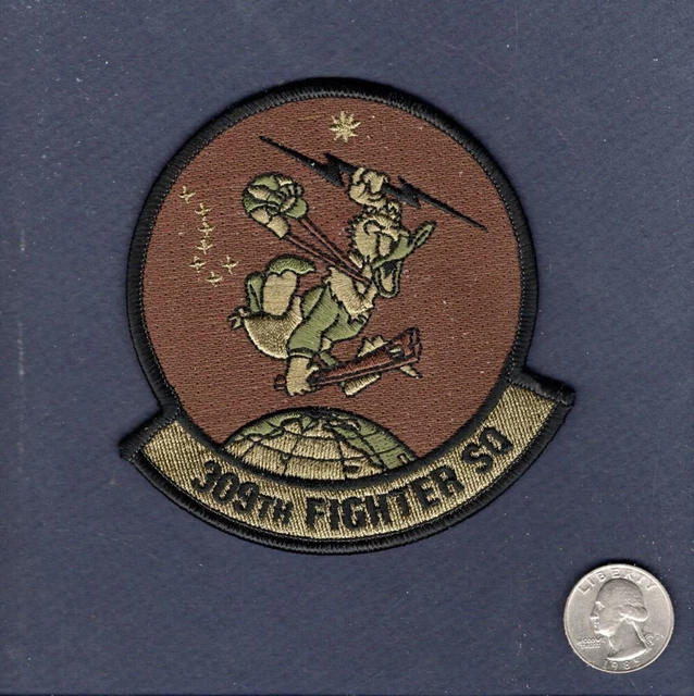 ORIGINAL 309TH FS Sauvage Canards USAF F-16 Falcon Fighter Escadron ...