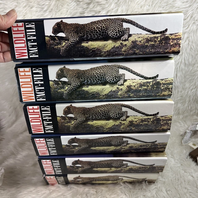 WILDLIFE FACT-FILE CARD 6 Binders Homeschool 90s Nature 1000+ Cards ...