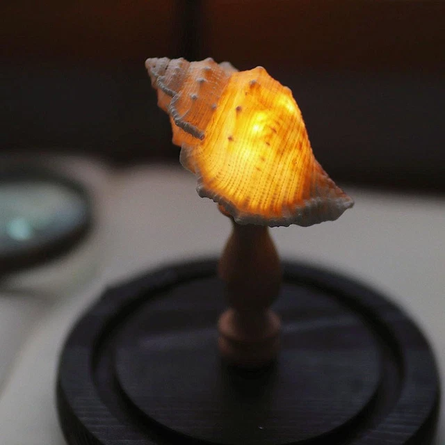 DIY NIGHT LIGHT LED Lamp Soft Lighting Flicker Nightstand Lamp ...