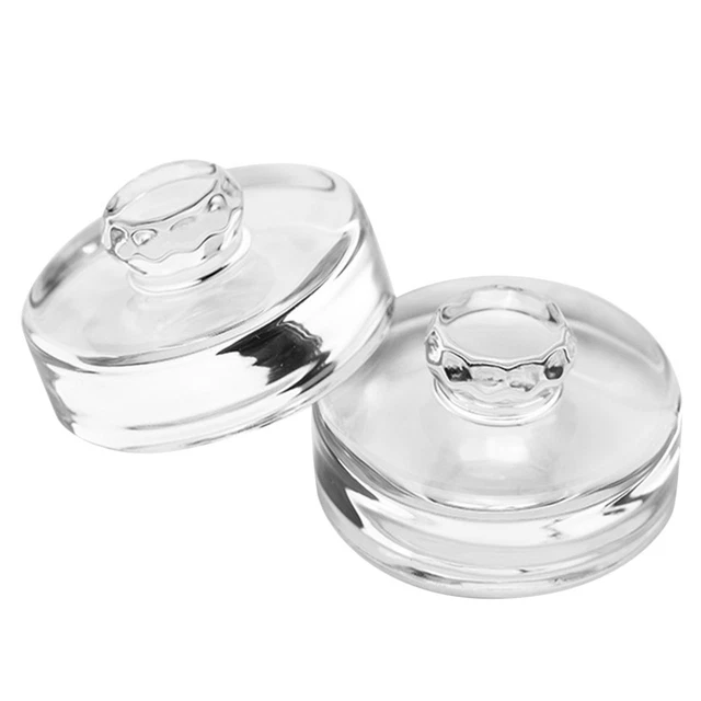2 PCS GEWICHTE Fermentieren Gärgewichte Aus Glas Glasgewichte Zum Gären ...