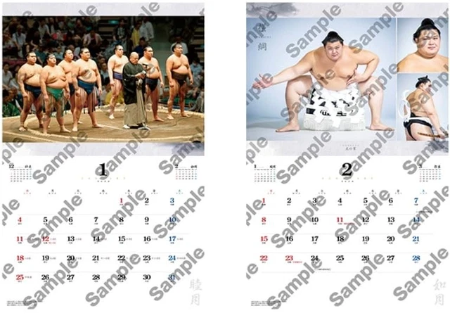 GRAND SUMO 2026 Calendar Wall Reiwa 8 Japan Official Sports Edition ...