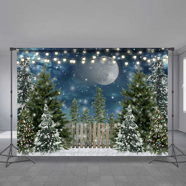 MODERN CHRISTMAS PHOTOGRAPHY Backdrop, Blue Wall With Hanging Kraft ...