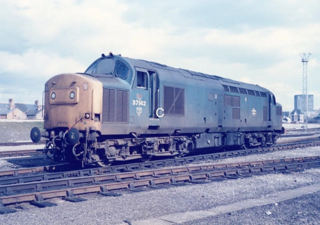 BRITISH RAILWAY B.R Photograph - Class 37 37142 At Cardiff Canton 17/03 ...
