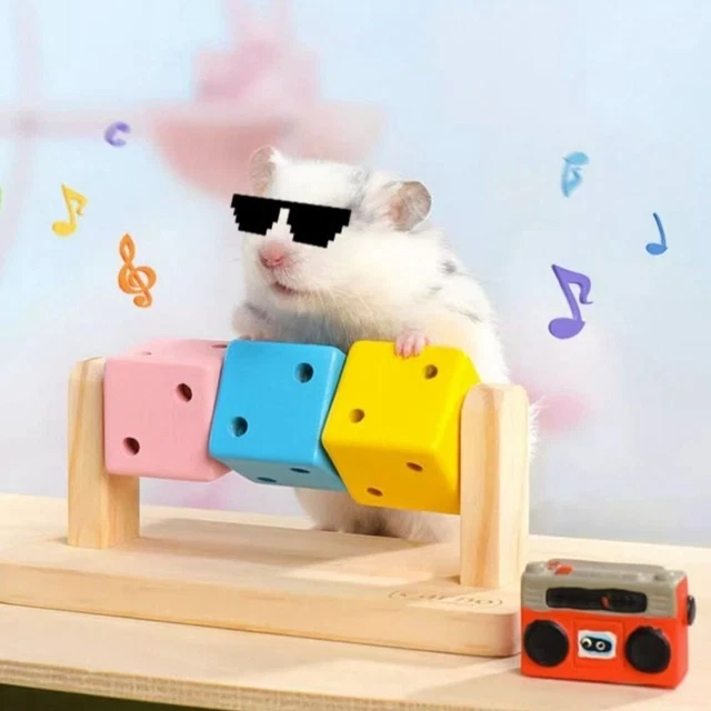 RUBIK'S CUBE-SHAPED ANIMAL Chewing Toy Hamsters Training Toys for Small ...