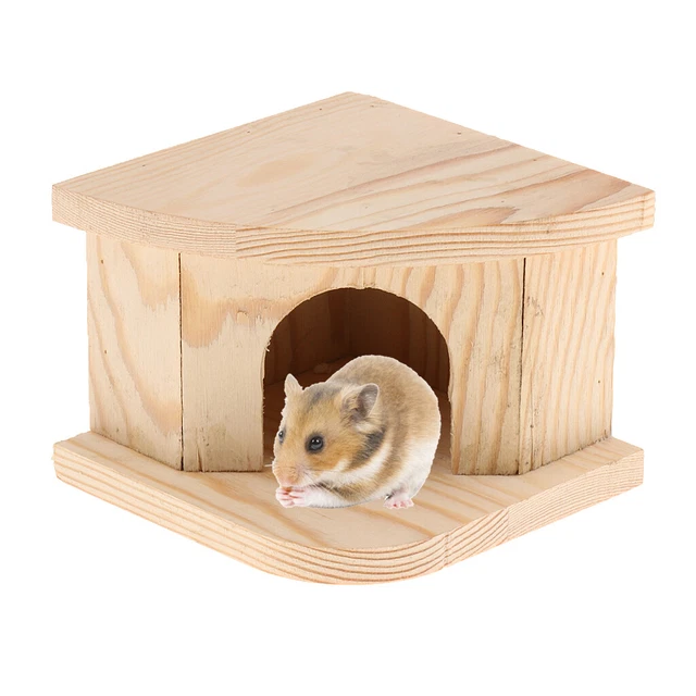 MAISON POUR PETITS animaux maison de rongeur maison en bois pour ...