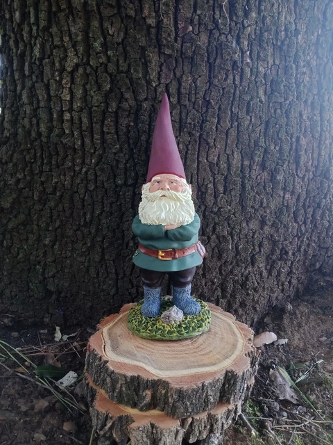 GNOMO RIEN POORTVLIET, Kabouter beeldje, Gnome figurine, Gnom figur EUR ...