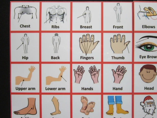 BODY PARTS PICTURE Cards - Autism/PECS/Non verbal/Early Yrs/Visual Aid ...