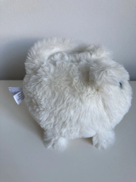 JELLYCAT CREAM KITTEN Caboodle New With Tags Retired Collectible Soft ...
