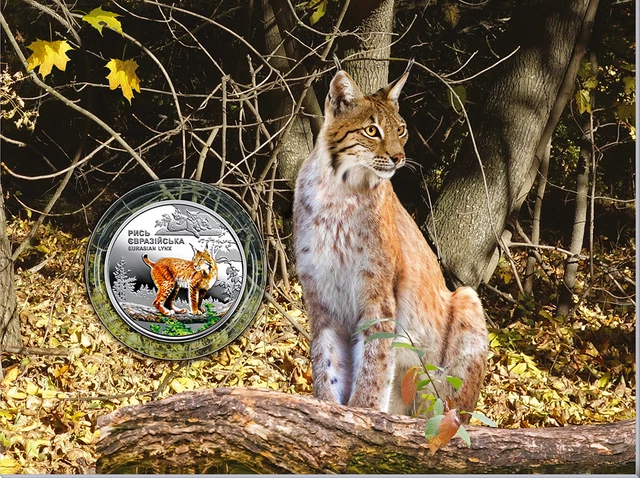 UCRAINA 5 UAH 2023 Chernobyl. Rinascimento. Lince eurasiatica (in ...