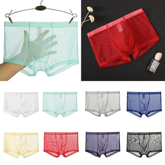 Men Sexy Briefs Underwear Boxer Shorts See Through Bulge Pouch