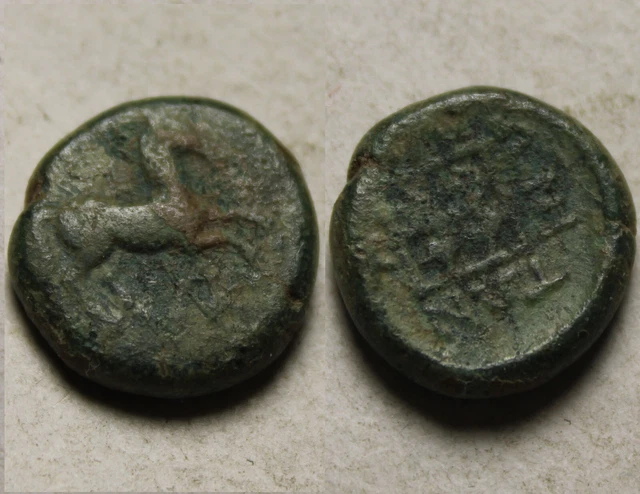 RARE GENUINE ANCIENT Greek coin Maroneia Thrace 400BC vine grapes Horse ...