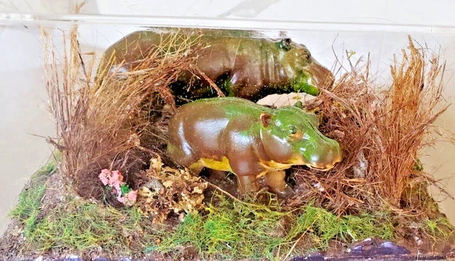 ENDANGERED WILDLIFE DIORAMA Scene Hippo Hippopotamus Hippopotami in ...