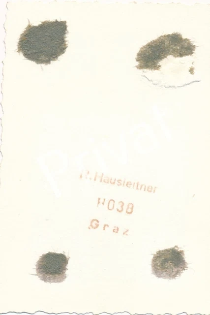 FOTO WK2GEBIRGS-ARMEEKORPS XIX Narvik Eismeer Norwegen M1.36 EUR 37,90 ...
