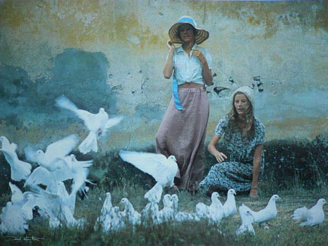 CARTE POSTALE GÉANTE DAVID HAMILTON Format 24x32cm Femme Woman Colombe ...