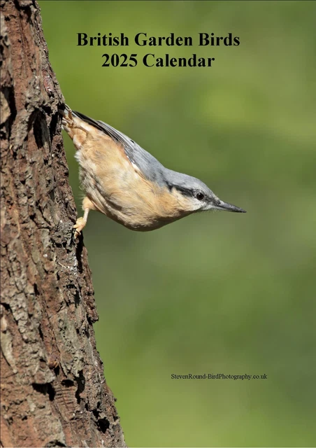 BRITISH GARDEN BIRDS 2025 A4 Wildlife Calendar (Photography by Steve ...