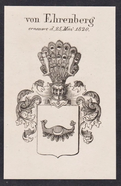 EHRENBERG BLASON HÉRALDIQUE Généalogie Gravure 18 314210 EUR 15,18 - PicClick FR