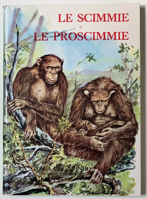 LE SCIMMIE E le proscimmie (La storia del mondo Vol.2) - Formigoni ...