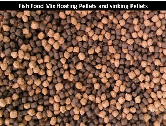 200G FOOD TROPICAL fish and cichlids mix floating Pellets and sinking ...