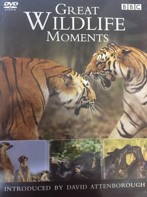 GREAT WILDLIFE MOMENTS - David Attenborough DVD BBC Documentary AS NEW ...