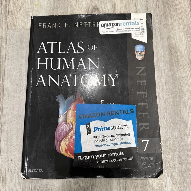 Frank H Netter Atlas Of Human Anatomy FOR SALE! - PicClick