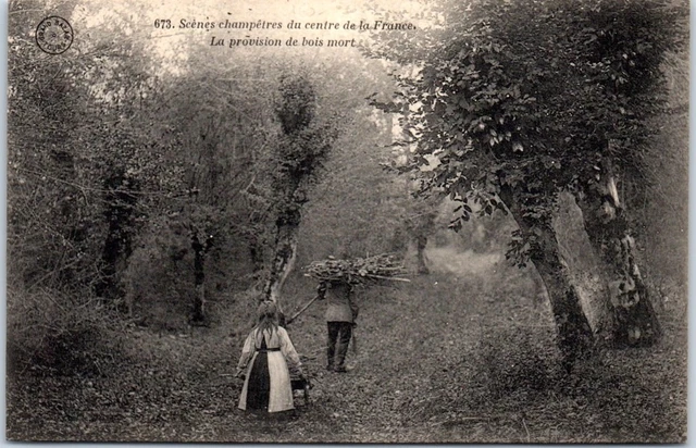 37 SCENES CHAMPETRES, la provision de bois mort EUR 20,00 - PicClick FR