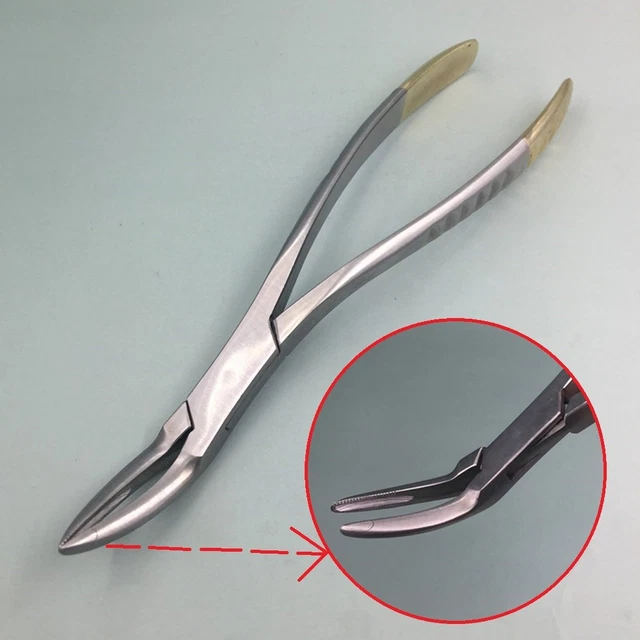 ROOT FRAGMENT MINIMAL Invasive Maxillary Tooth Extraction Forcep Curved ...