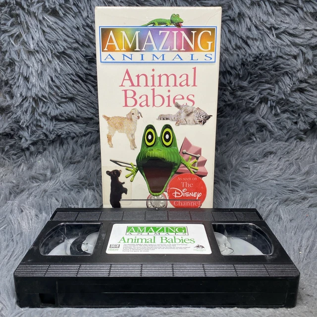 HENRY'S AMAZING ANIMALS: Animal Babies VHS Tape 1996 Disney Channel DK ...