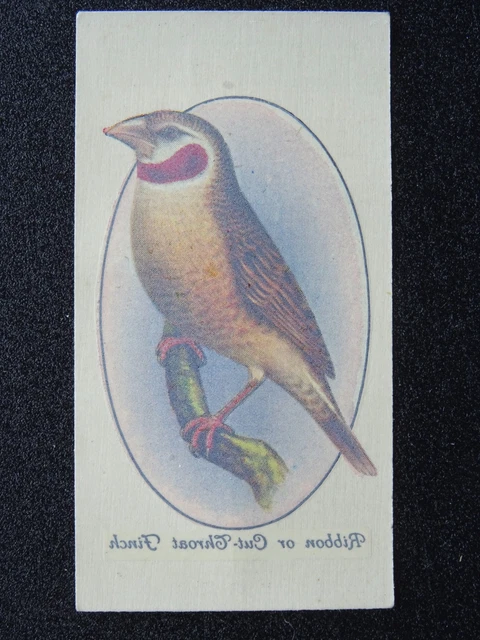RIBBON OR CUT THROAT FINCH Aviary & Cage Birds TRANSFERS by John Player ...